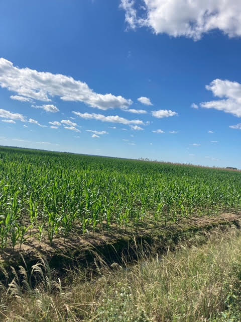 Unique Investment Opportunity In Paraguay: 2508 Hectares Prime Cropping ...