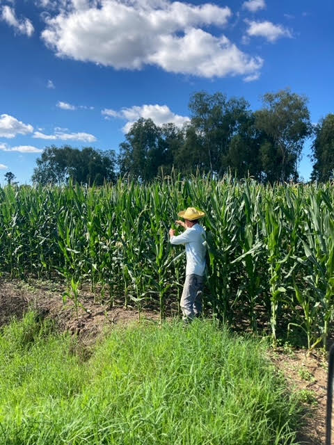 Unique Investment Opportunity In Paraguay: 2508 Hectares Prime Cropping ...