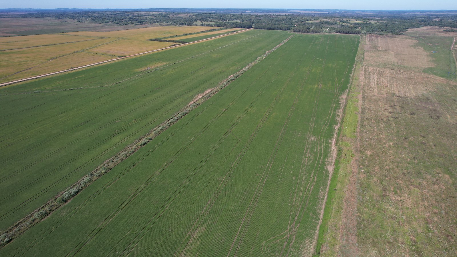 Unique Investment Opportunity In Paraguay: 2508 Hectares Prime Cropping ...