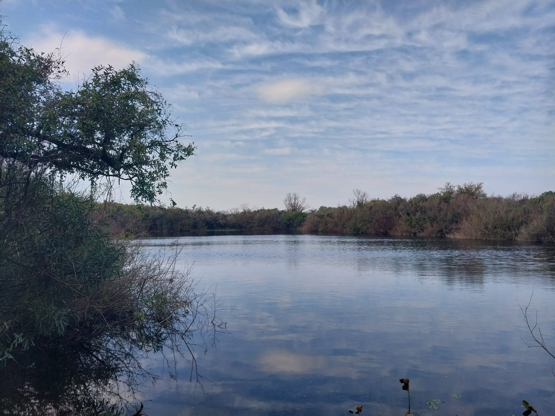 Stunning Riverfront 178 Hectares Farm In Florida Uruguay