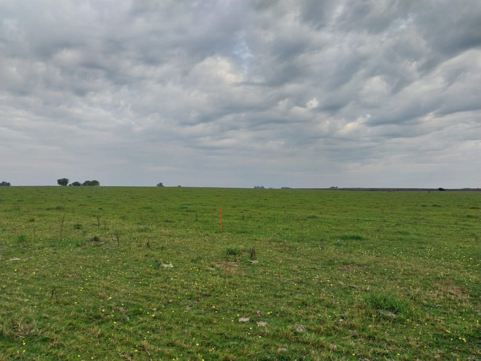 Stunning Riverfront 178 Hectares Farm In Florida Uruguay