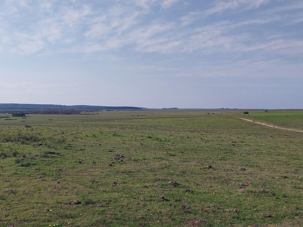 Stunning Riverfront 178 Hectares Farm In Florida Uruguay
