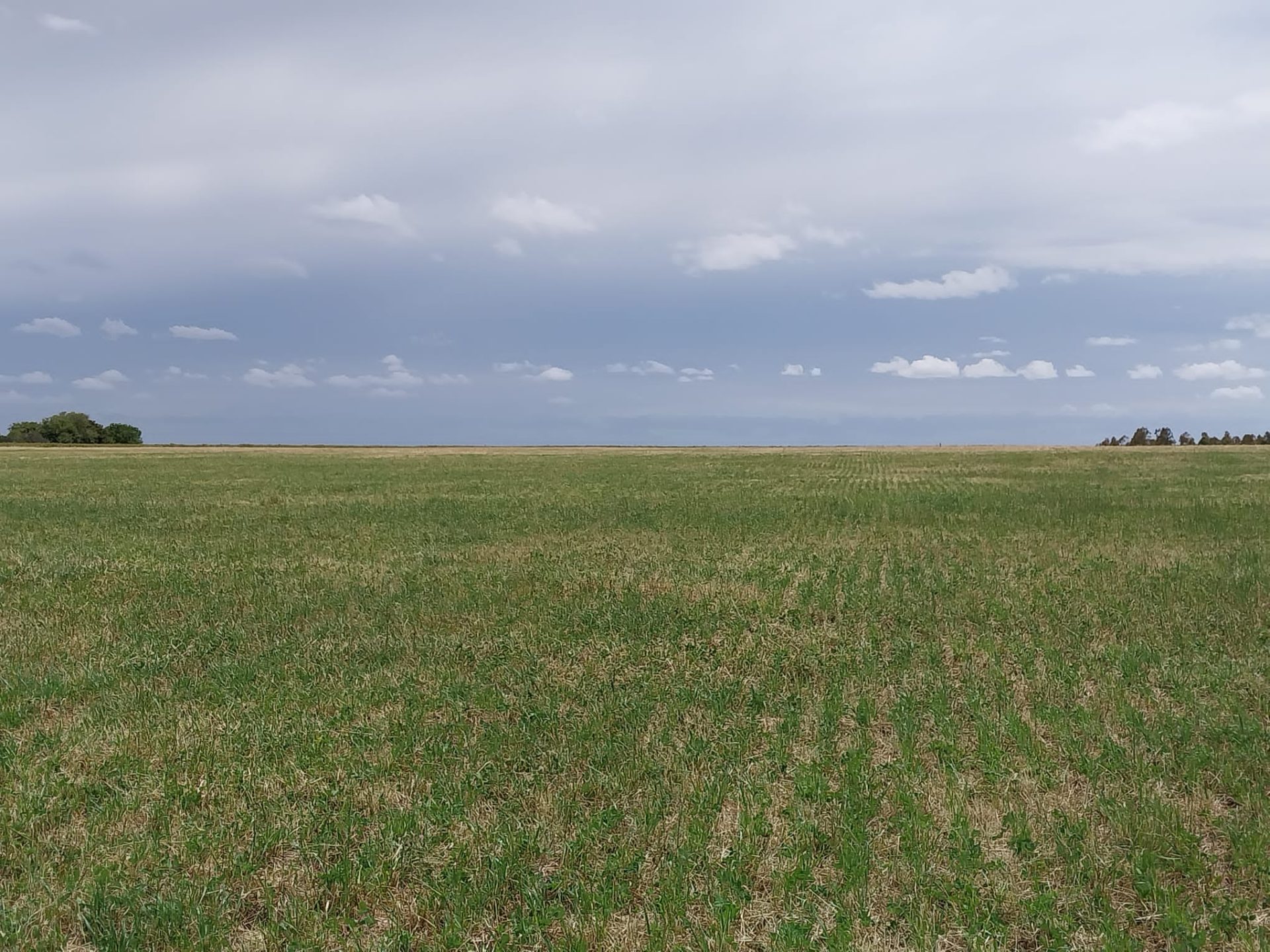 Unique 86 Hectares Farm In Maldonado