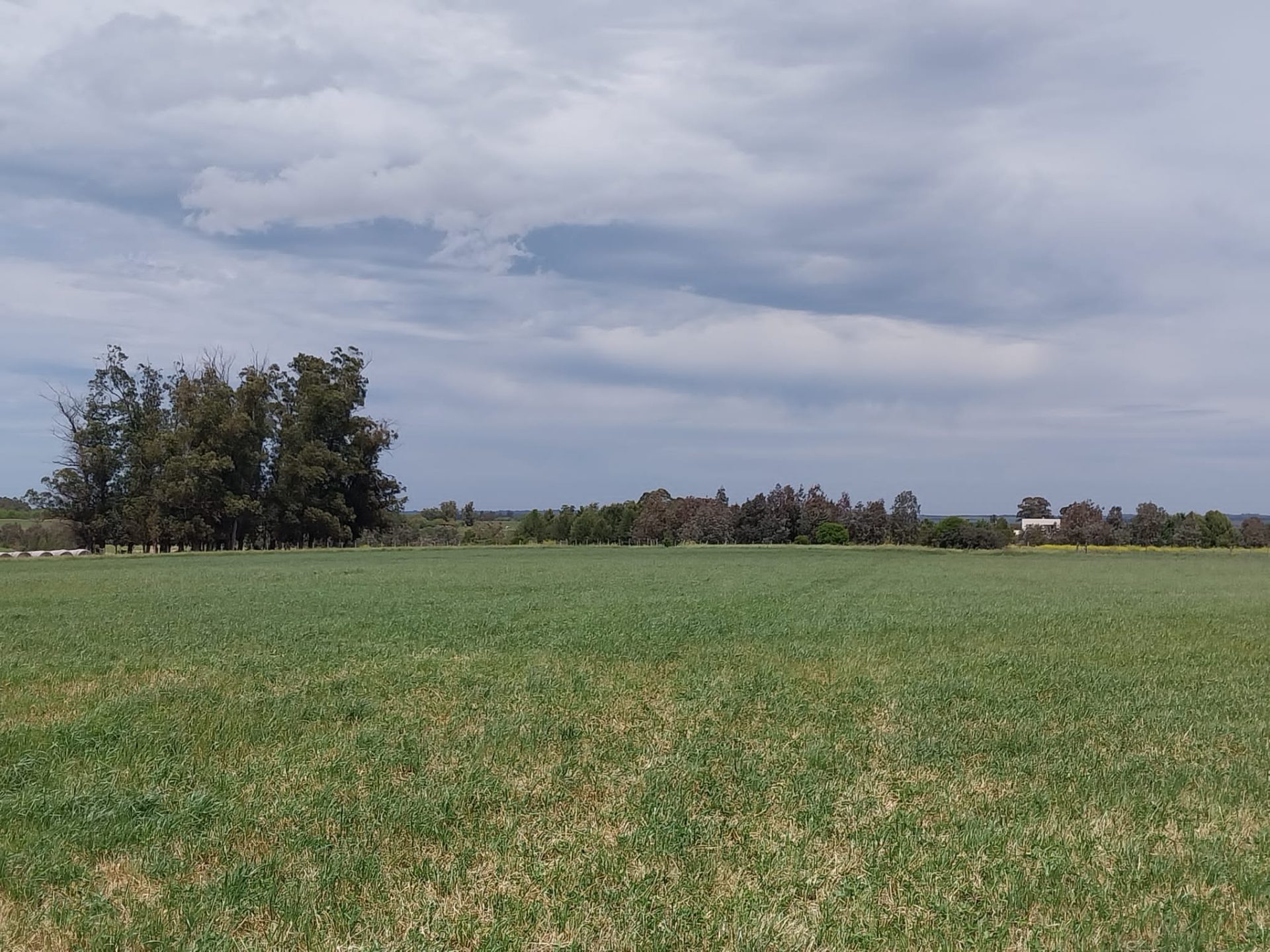 Unique 86 Hectares Farm In Maldonado