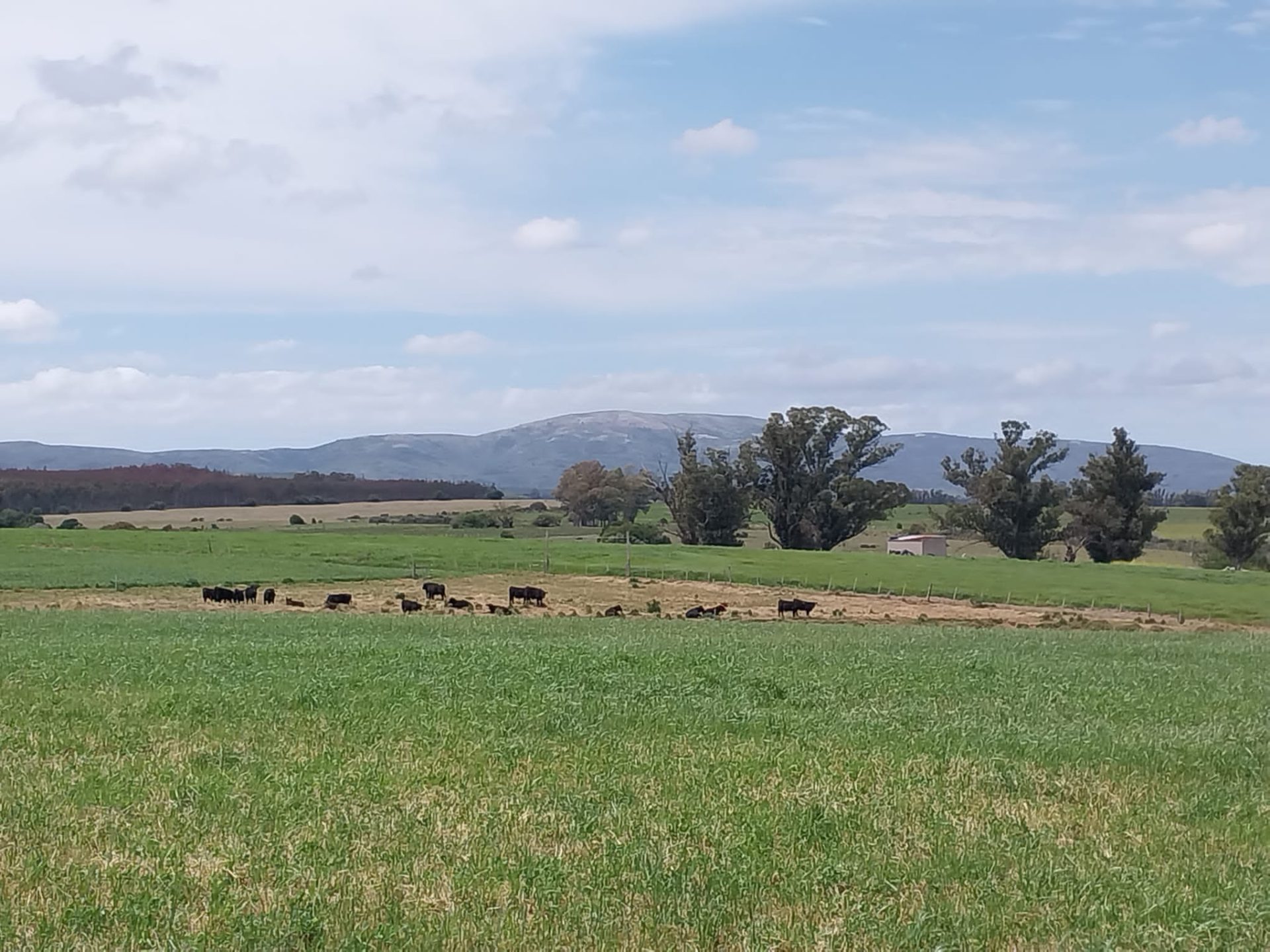 Unique 86 Hectares Farm In Maldonado