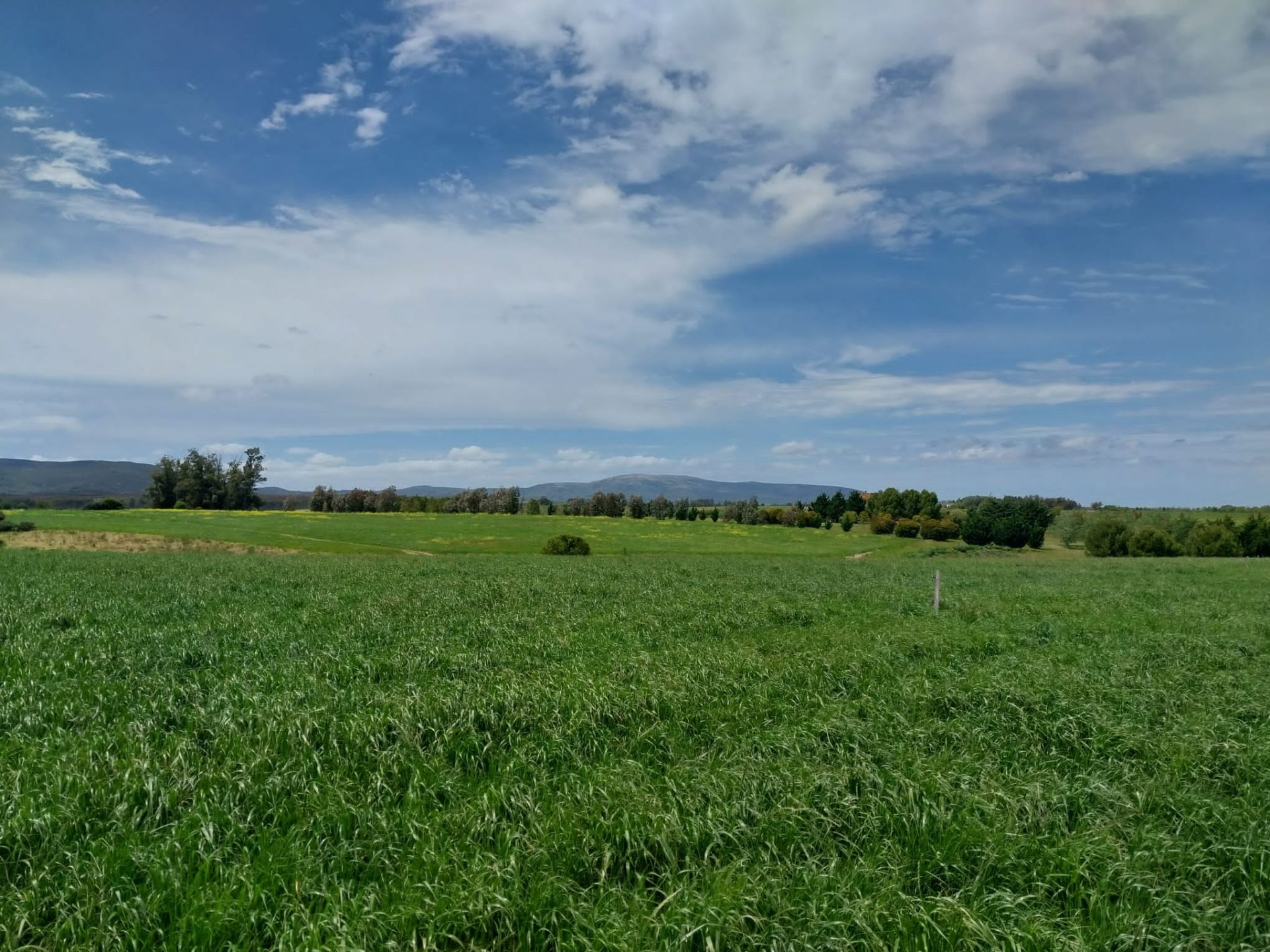 Unique 86 Hectares Farm In Maldonado