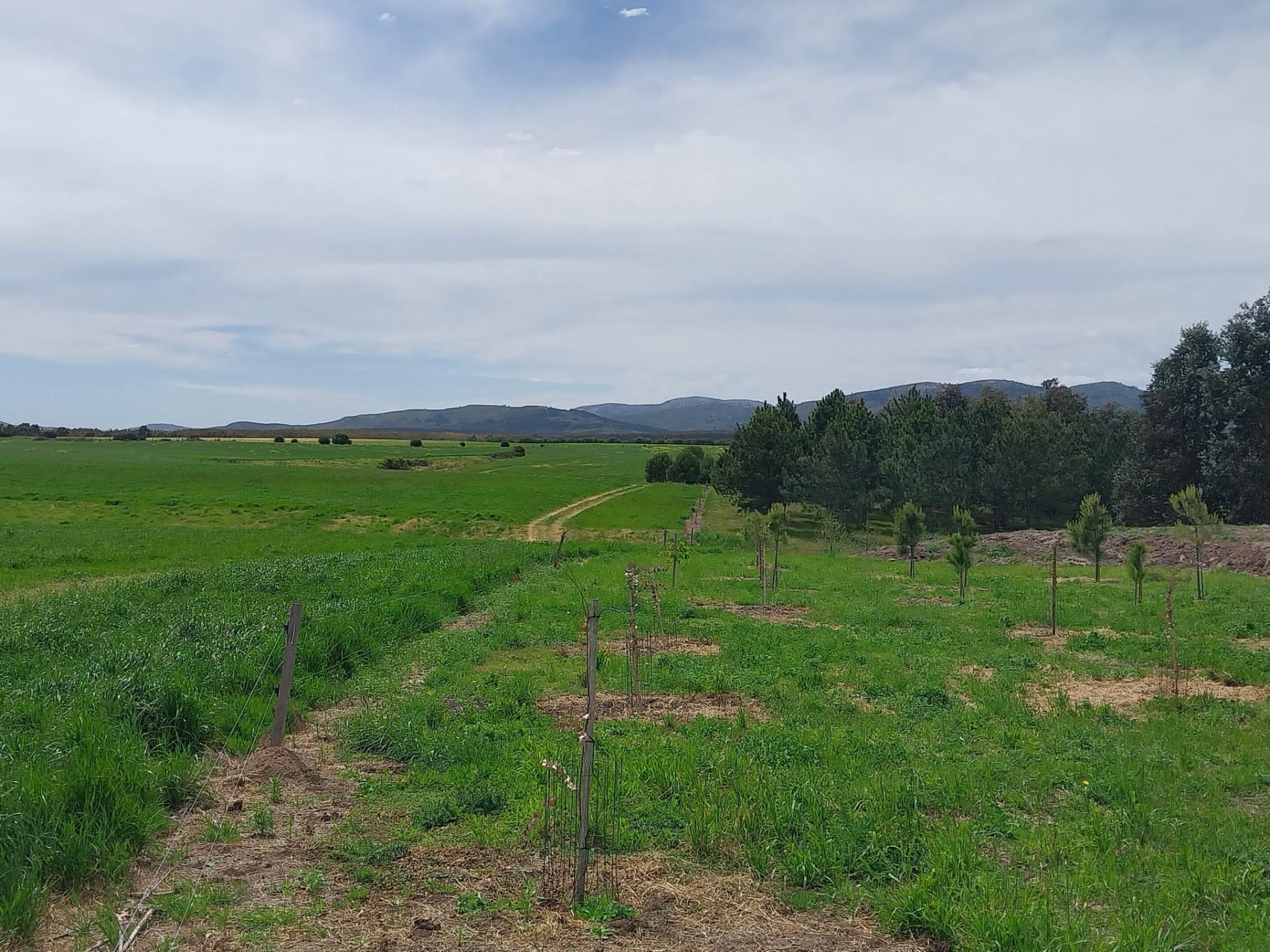 Unique 86 Hectares Farm In Maldonado