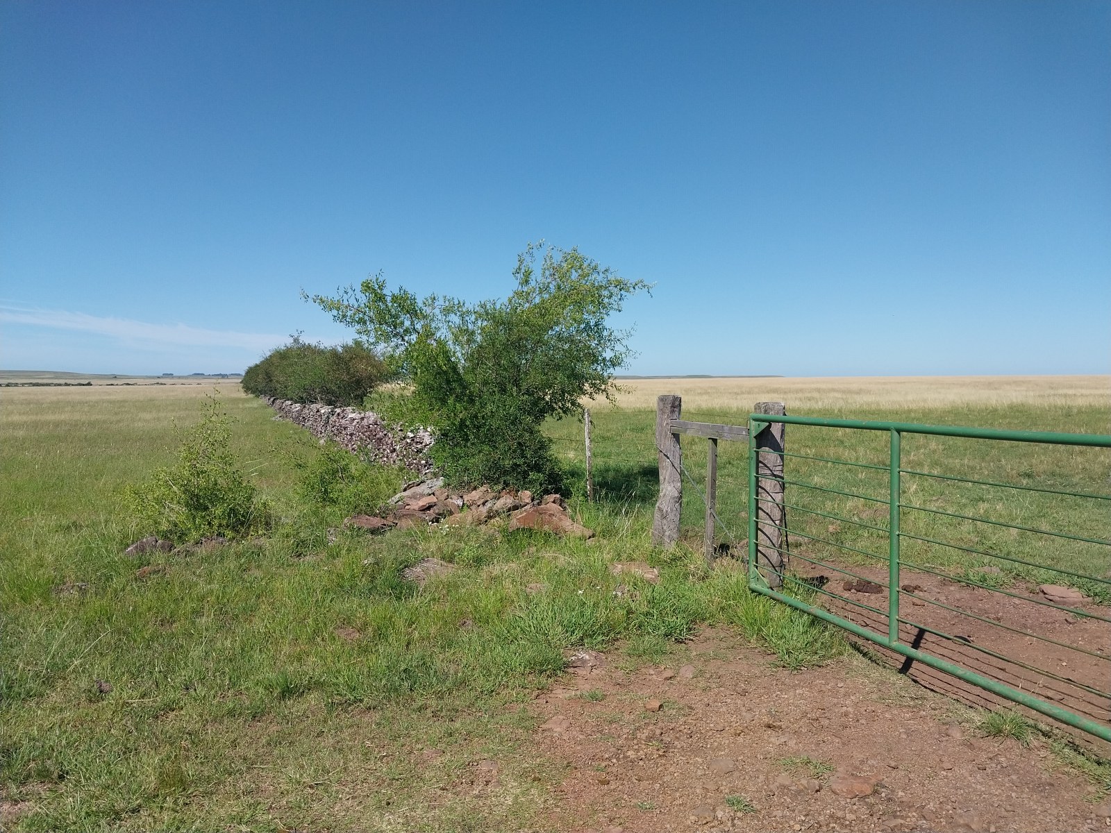 Outstanding 2881 Hectares Grazing Farm • Terramar Farmlands