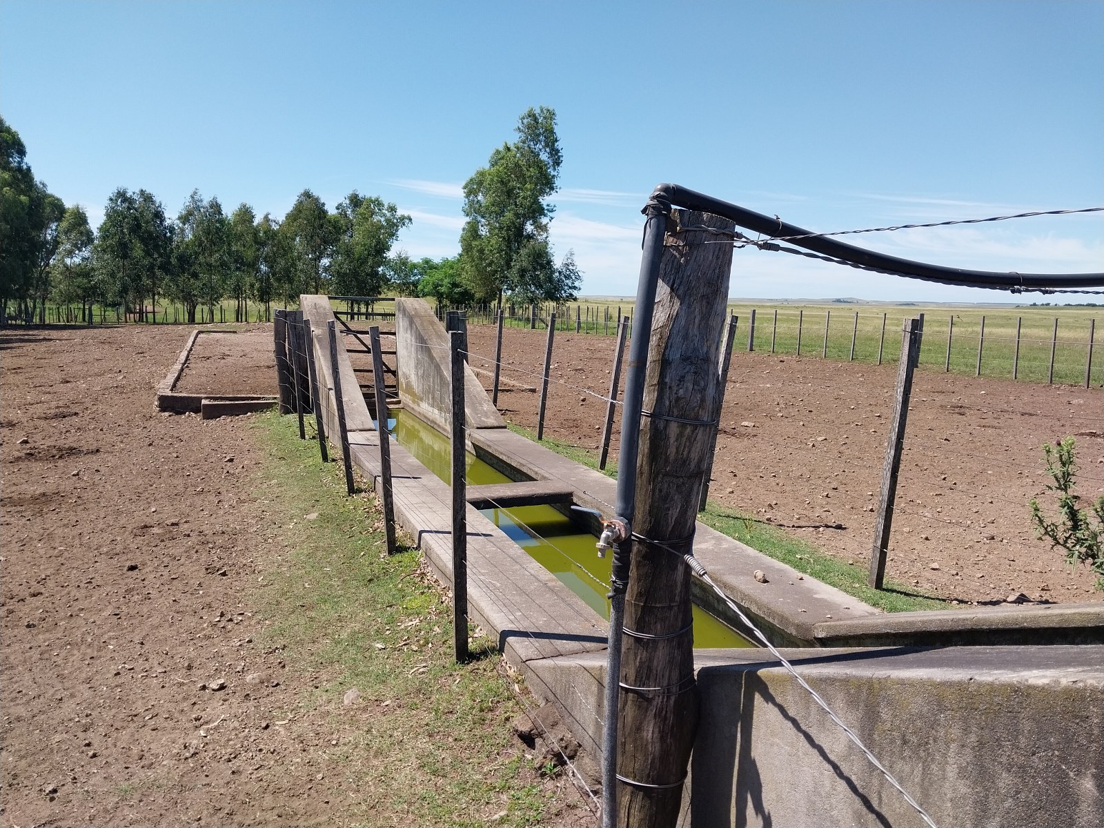 Outstanding 2881 Hectares Grazing Farm • Terramar Farmlands