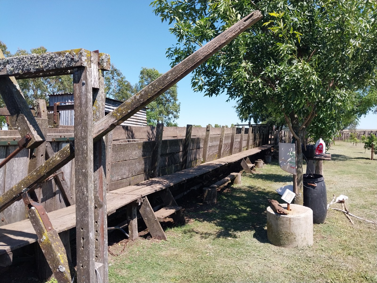 Outstanding 2881 Hectares Grazing Farm • Terramar Farmlands