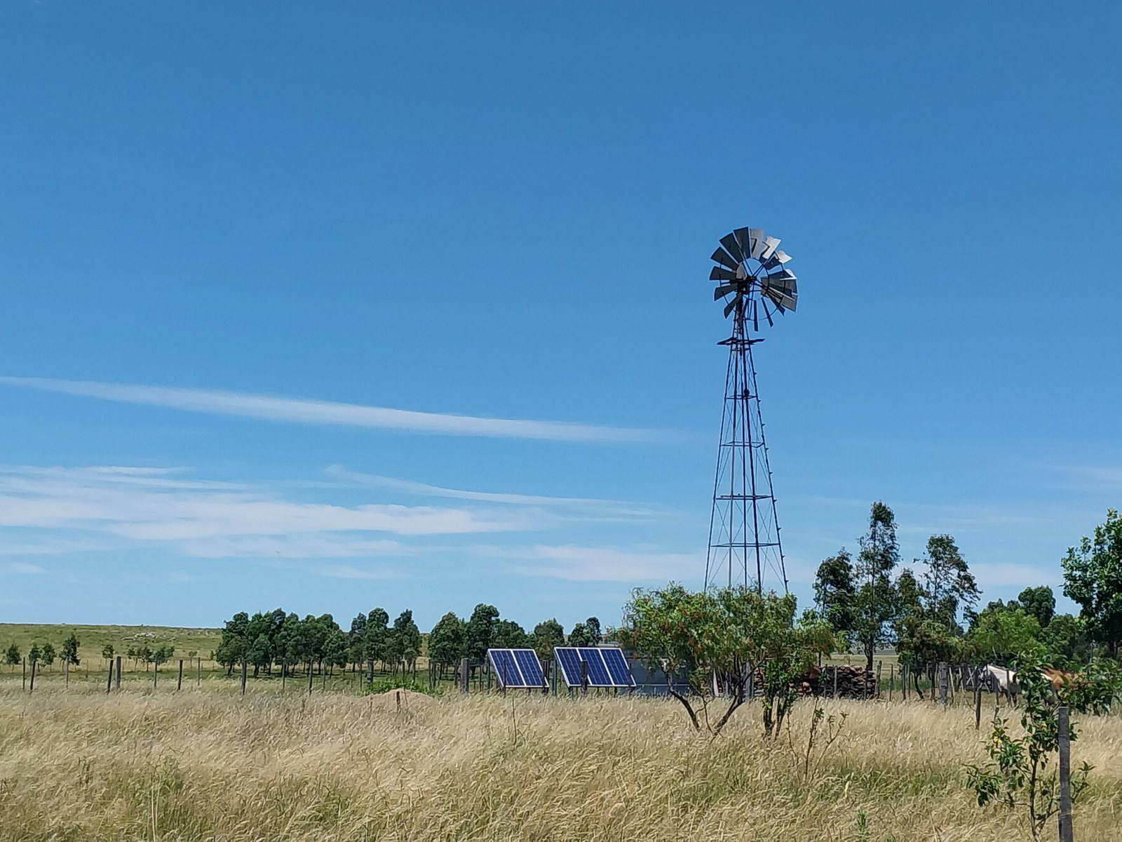 Outstanding 2881 Hectares Grazing Farm • Terramar Farmlands