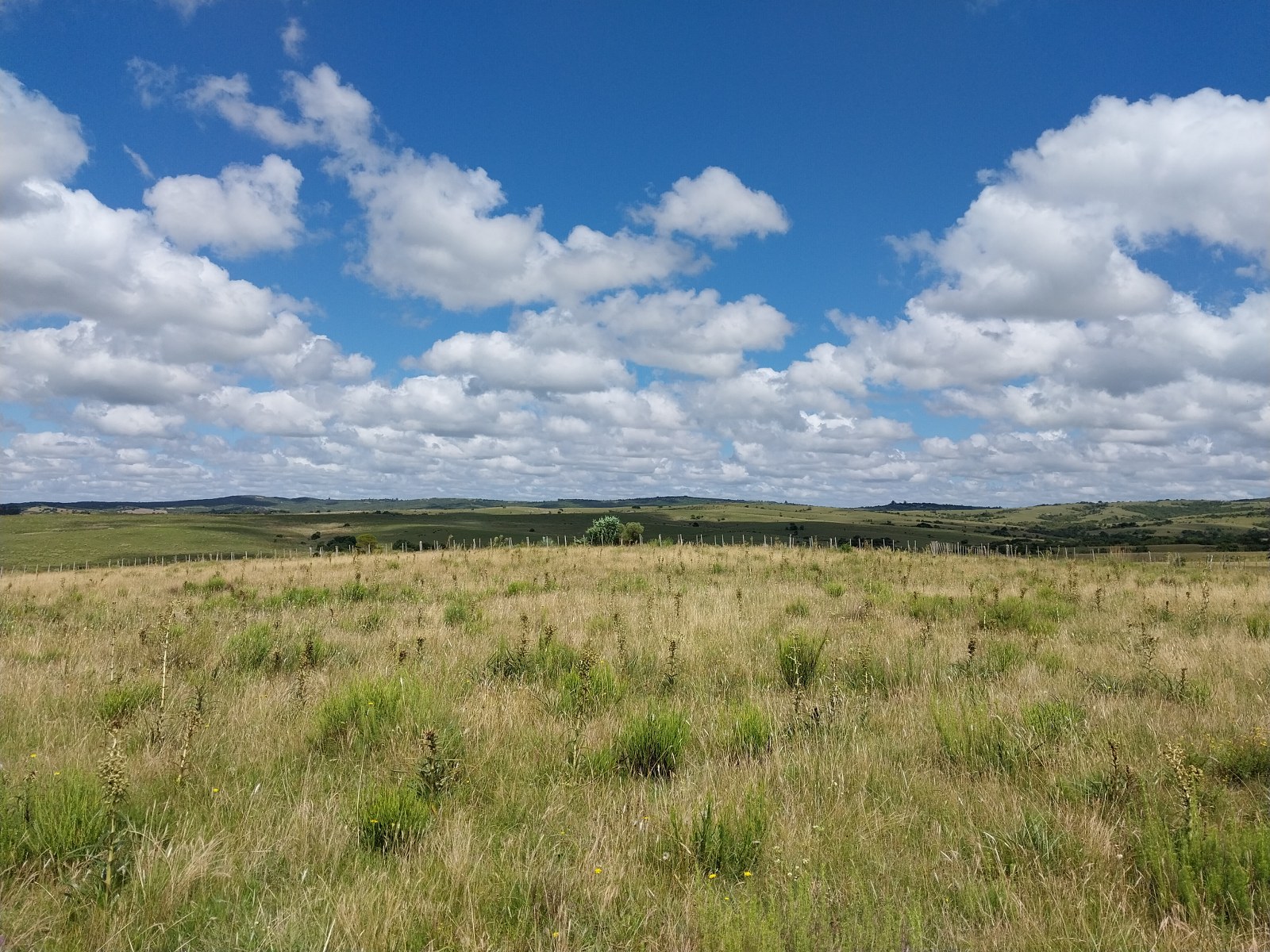 Pueblo Garzon 60 Hectares Farmland