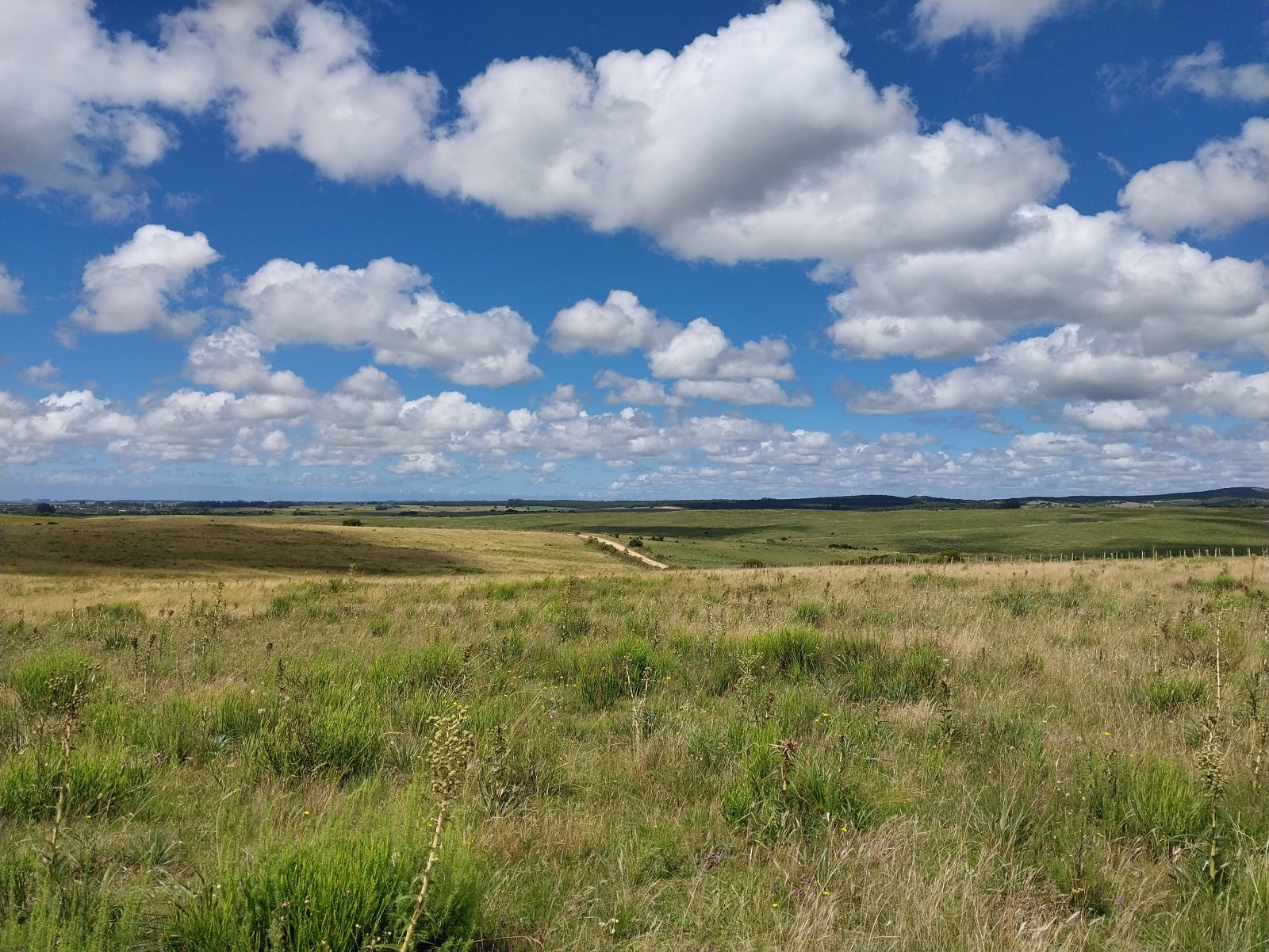 Pueblo Garzon 60 Hectares Farmland