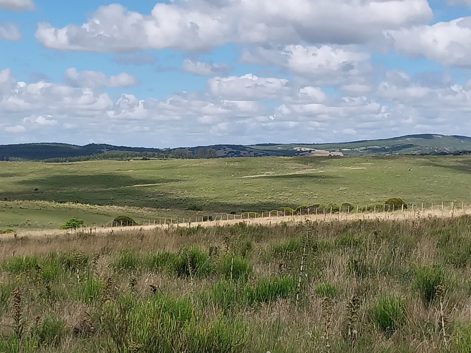 Pueblo Garzon 60 Hectares Farmland