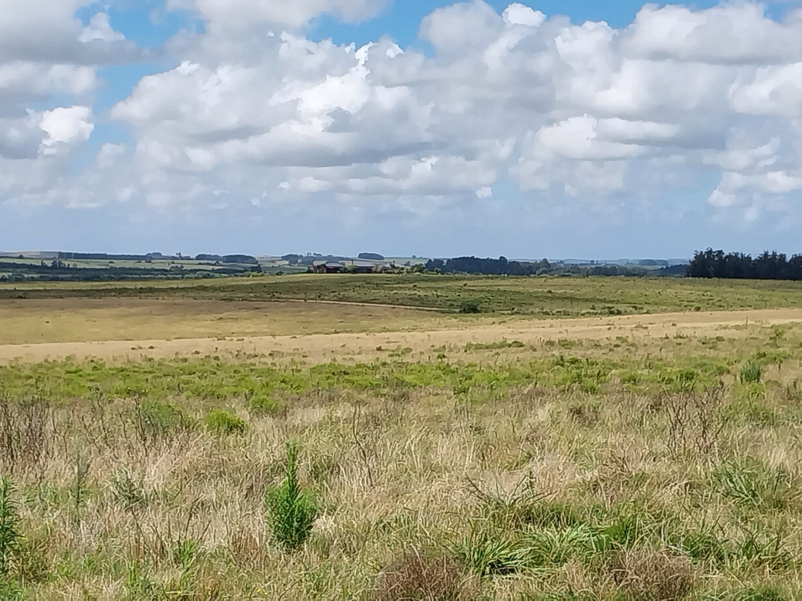 Pueblo Garzon 60 Hectares Farmland