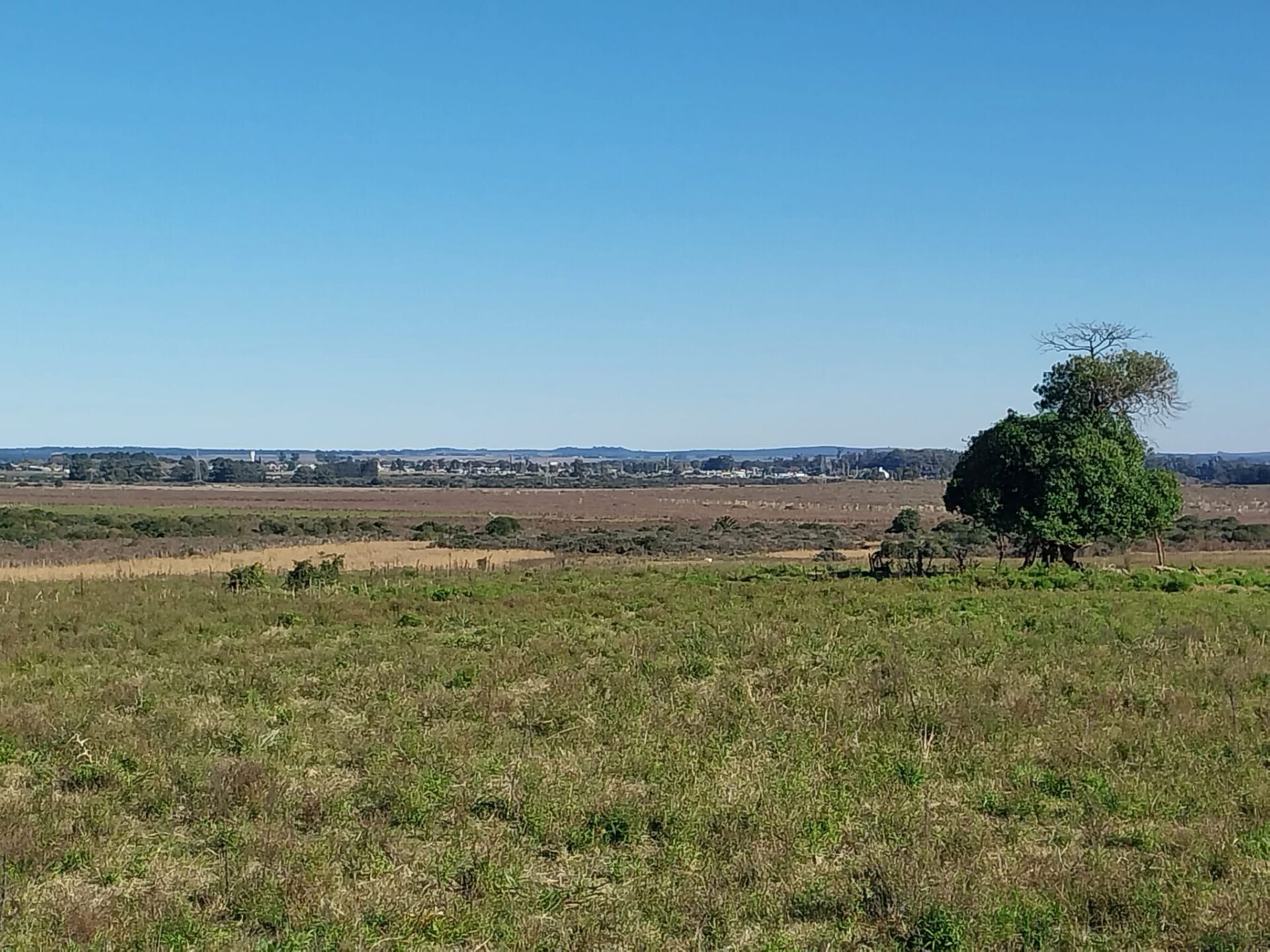 Spectacular 21 Hectares Land In Solis