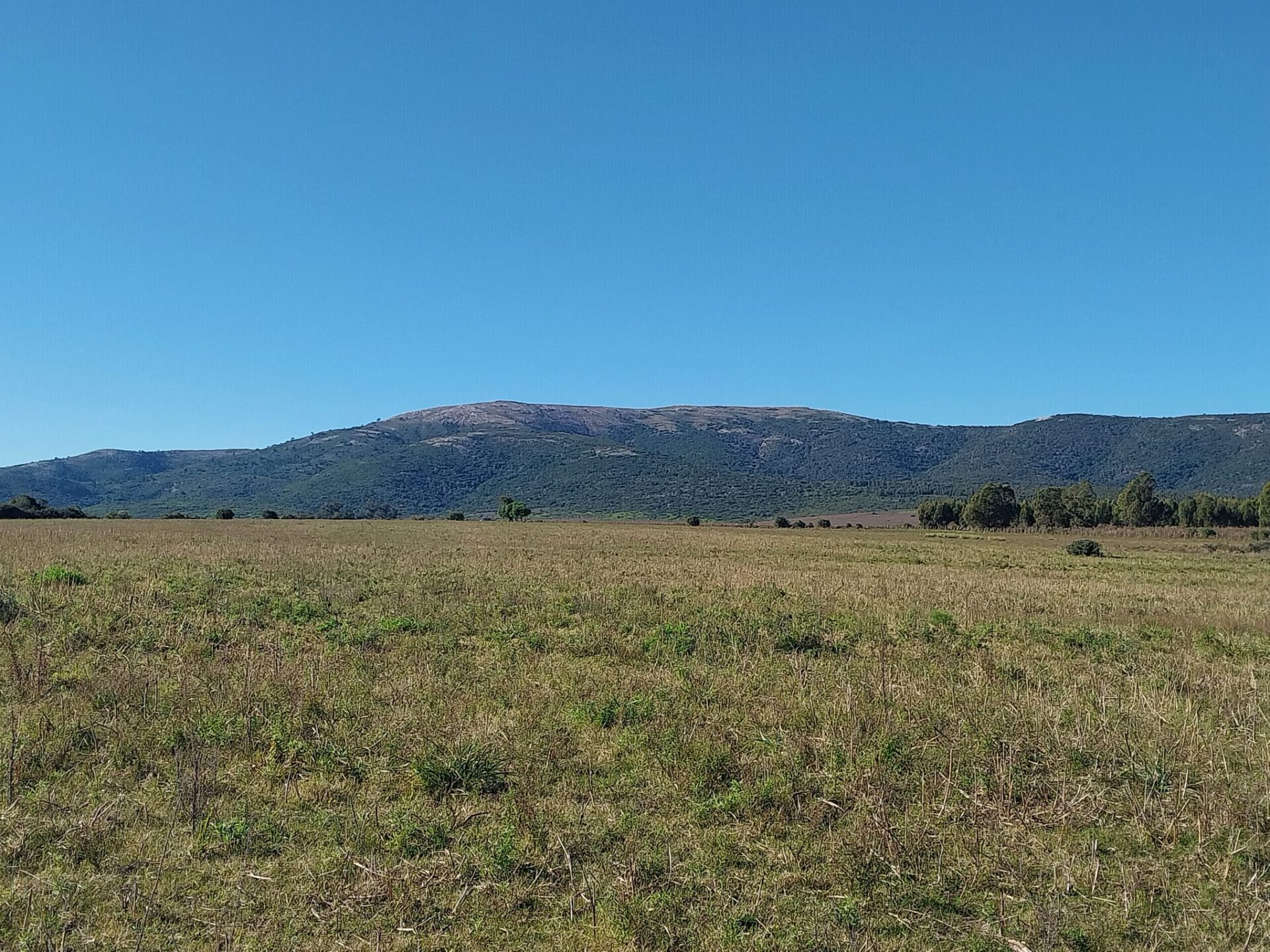 Spectacular 21 Hectares Land In Solis