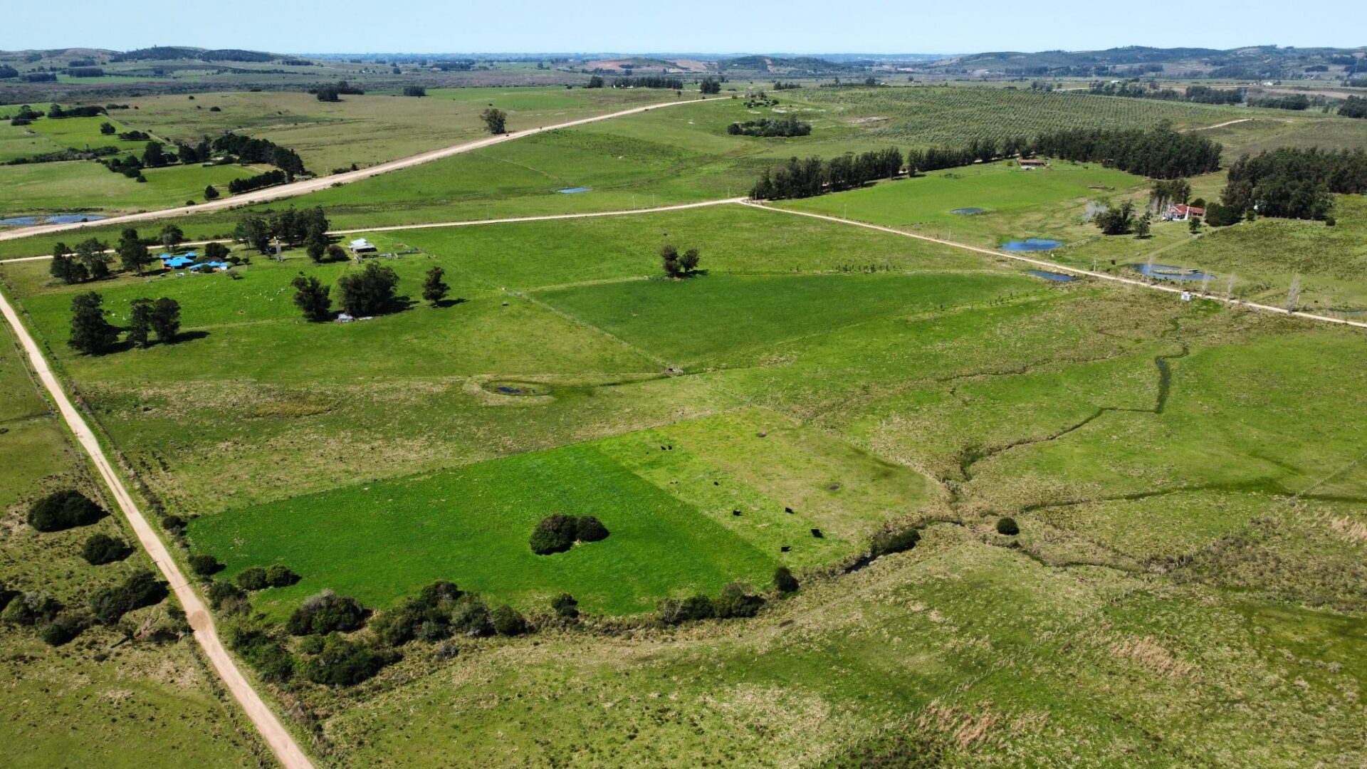 Beautiful 20 Hectares Farm In Pueblo Eden