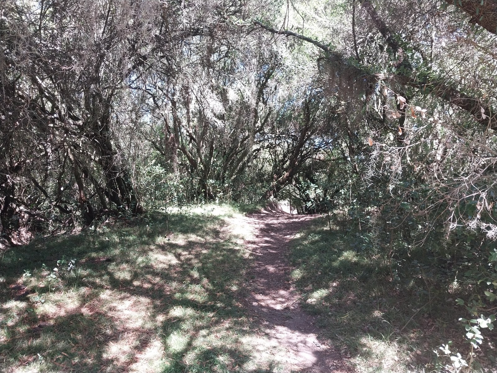 Magnificent 146 Hectares Farm In Jose Ignacio