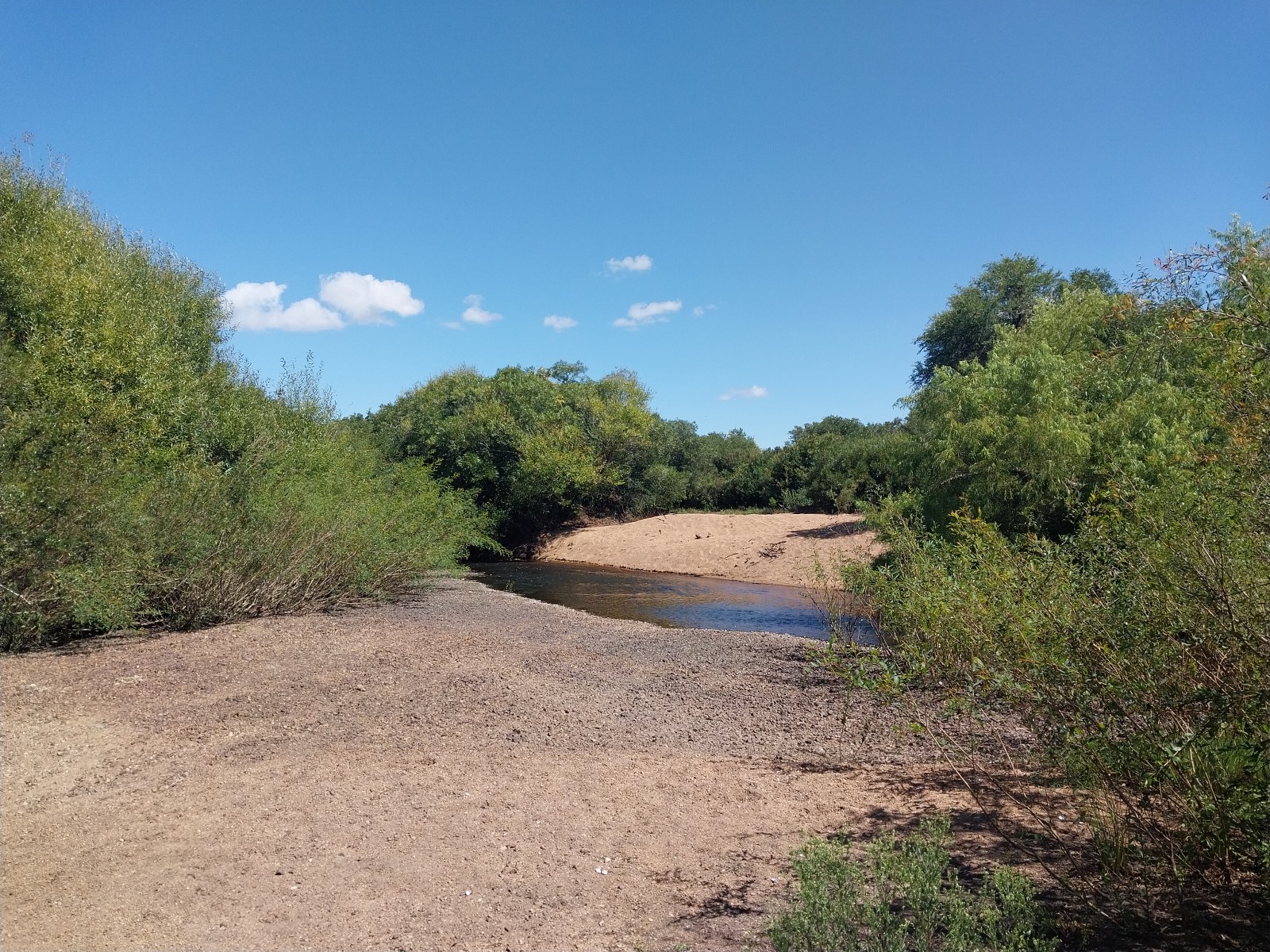 Magnificent 146 Hectares Farm In Jose Ignacio