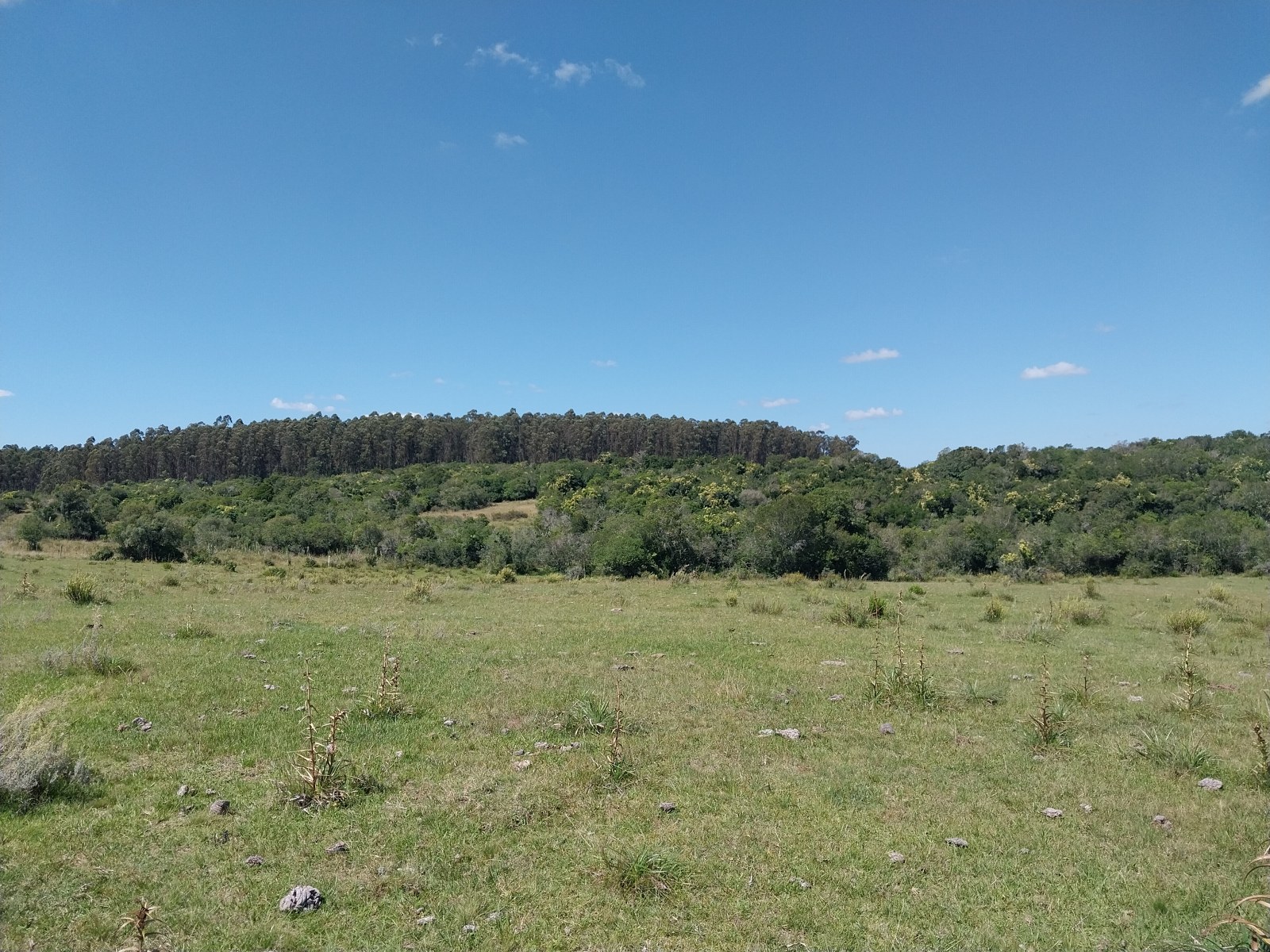 Magnificent 146 Hectares Farm In Jose Ignacio