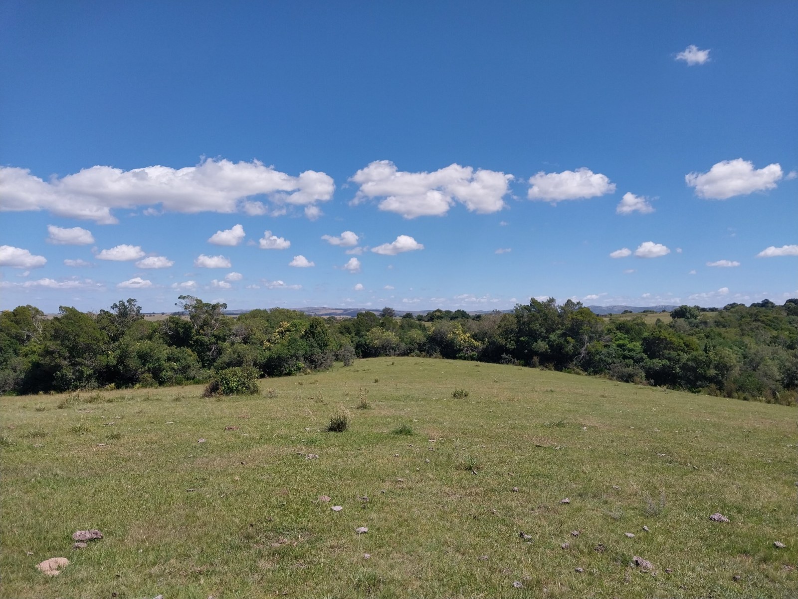 Magnificent 146 Hectares Farm In Jose Ignacio