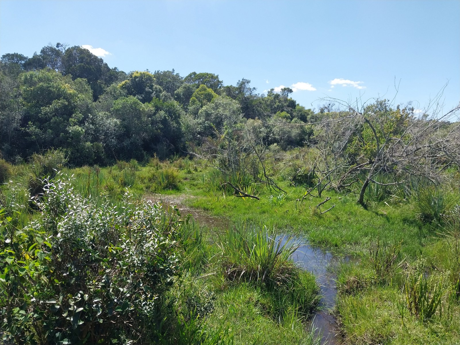 Magnificent 146 Hectares Farm In Jose Ignacio
